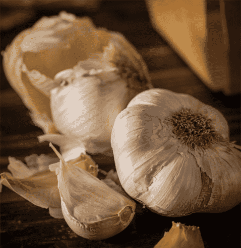 Garlic - Whole Foods Feeding Tube Ingredients - Functional Formularies